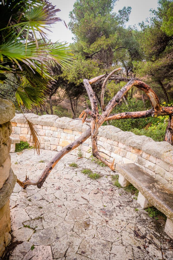 `Large Branch Obstructing Old Cobblestone Stock Image - Image of ...
