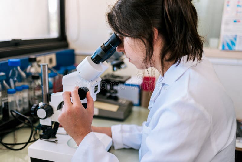 Female Scientist Using Microscopy in Laboratory Stock Photo - Image of ...