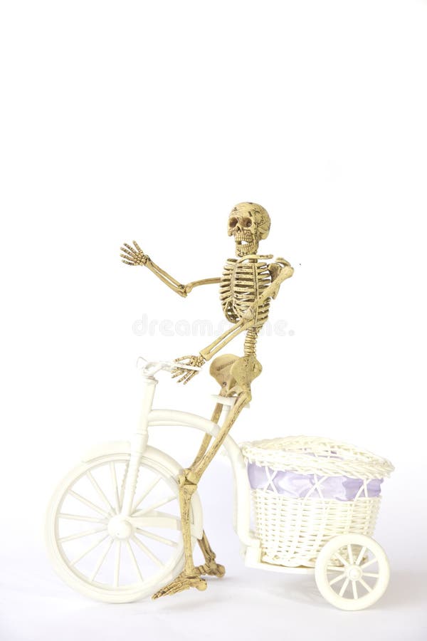 Cycling skeleton stock image. Image of cycling, bizarre - 30557191