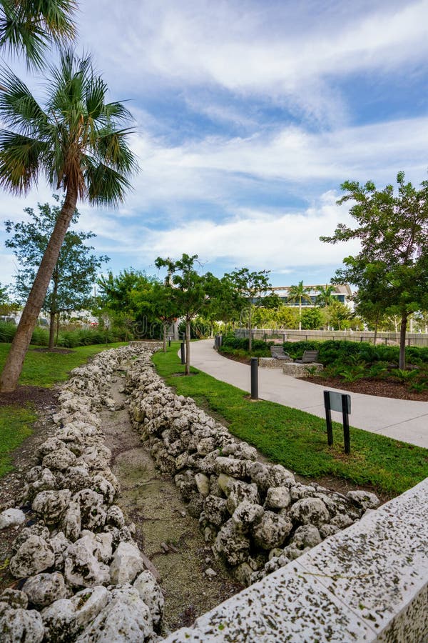 Stock Photo Miami Beach Canopy Park Stock Photo - Image of miami ...