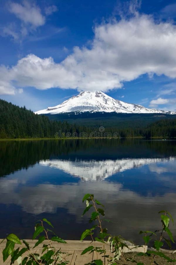 View of Mount Hood Reflecting Off Trillium Lake Stock Photo - Image of ...