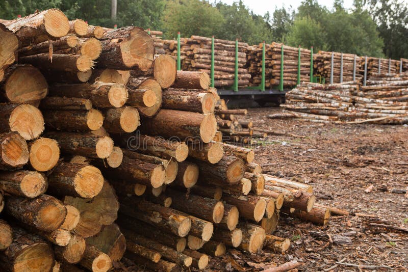 Stock of timber. stock image. Image of finland, industrial - 99567807
