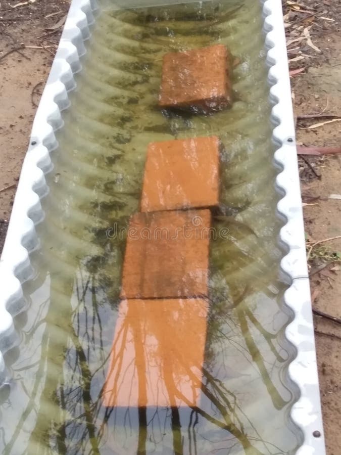 Stock Trough with Water stock image. Image of heavy - 174617323