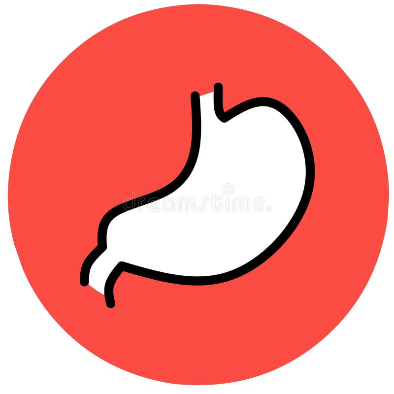 Digestion Female Vector Stock Illustrations – 1,180 Digestion Female ...