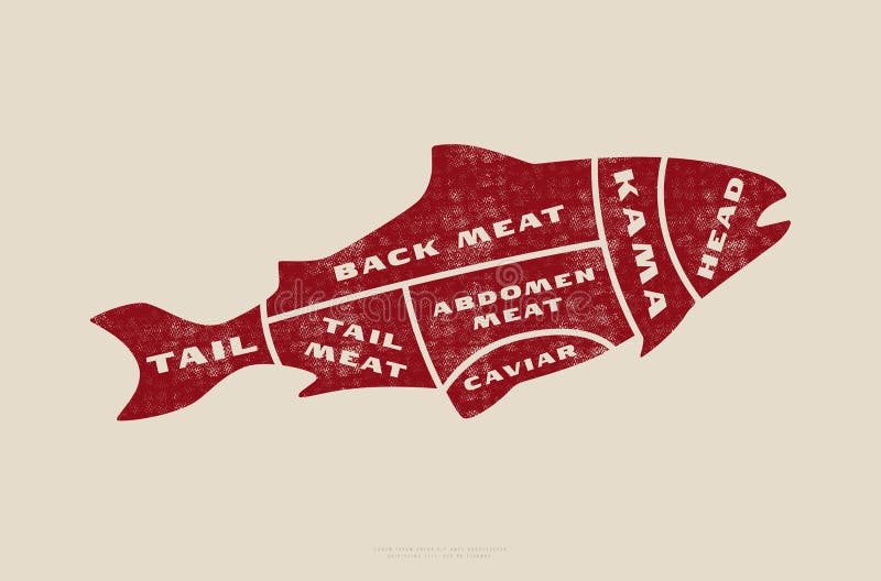 Fish Cuts Diagram Stock Illustrations – 49 Fish Cuts Diagram Stock ...