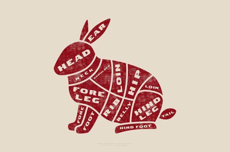 Rabbit Cuts Diagram in Silhouette Style Stock Vector - Illustration of ...