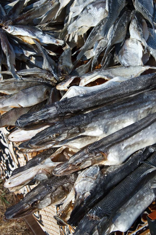 Stockfish stock image. Image of stockfish, sale, dried - 10950345