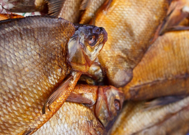 Stockfish stock photo. Image of markets, stockfish, dried - 11013090