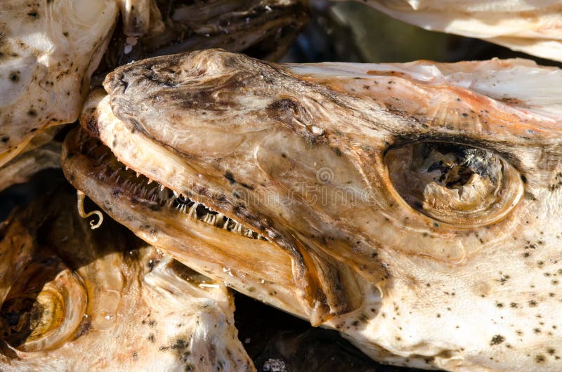 Stockfish stock image. Image of fish, longlasting, meal - 27068719