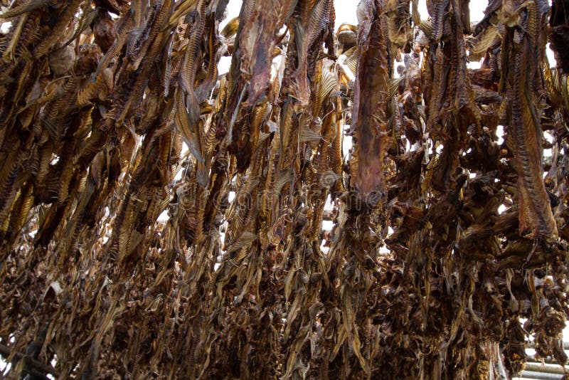 Stockfish stock image. Image of stockfish, industrial - 27172983