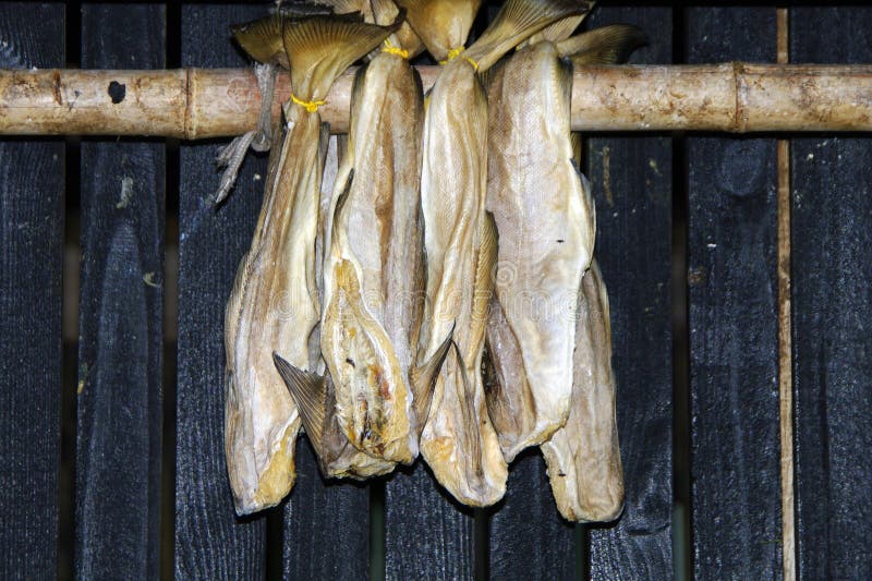 Stockfish stock image. Image of eatable, dried, stockfish - 37472853