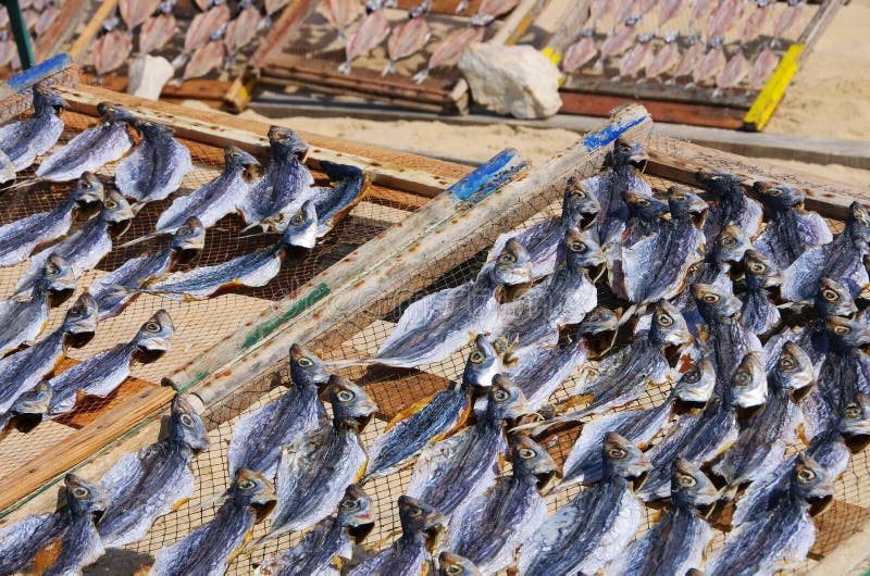 Stockfish stock photo. Image of dried, closeup, fish - 37553148