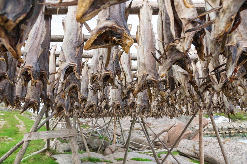 Stockfish stock image. Image of food, culture, closeup - 67907791