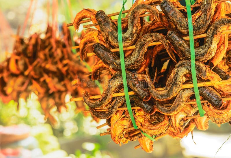Stockfish Outdoor Drying Closeup Stock Image - Image of season, animal ...