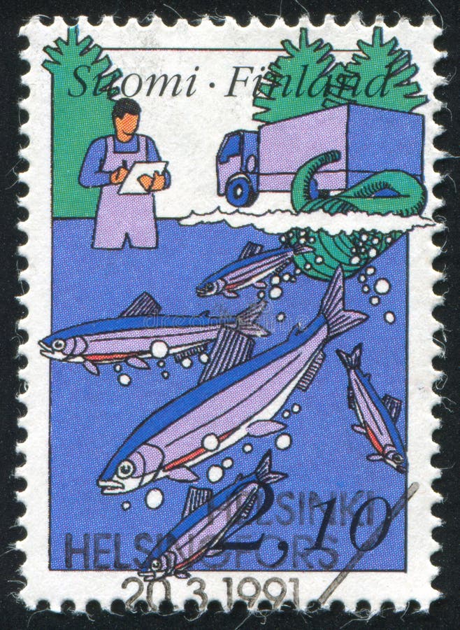 Powan Fish Stock Photos - Free & Royalty-Free Stock Photos from Dreamstime