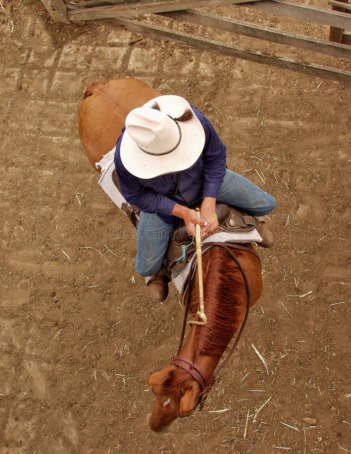Stockman in Yards stock photo. Image of stockman, worker - 1709244