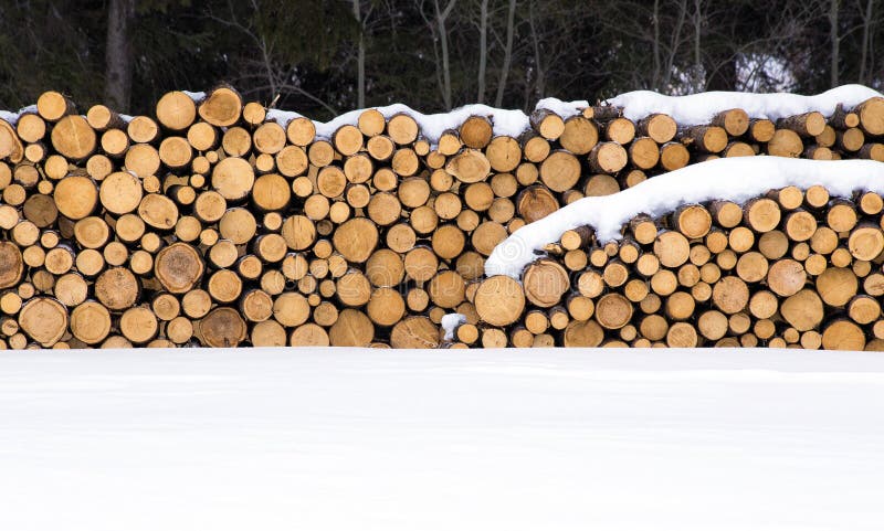 Stockpile of cut logs stock image. Image of winter, stacks - 51244823