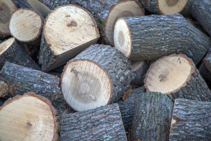 Stockpile of logs stock photo. Image of logs, woodpile - 64406896