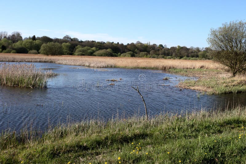 Stodmarsh National Nature Reserve Stock Photo - Image of national ...
