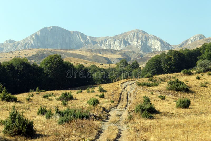 Stogovo Mountain in Macedonia Stock Image - Image of highland, forest ...