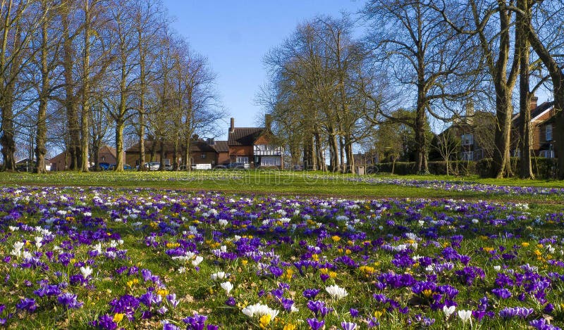 Stoke Park Estate in Bristol Stock Photo - Image of lockleaze ...