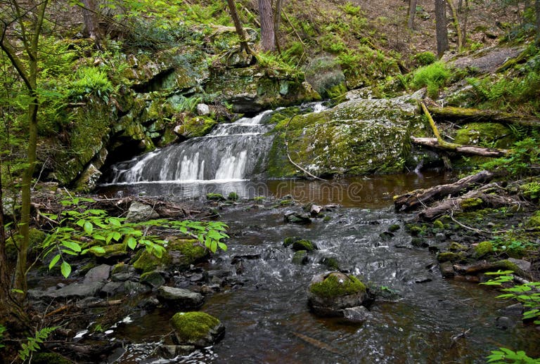 1,343 Stokes Alligator Stock Photos - Free & Royalty-Free Stock Photos ...