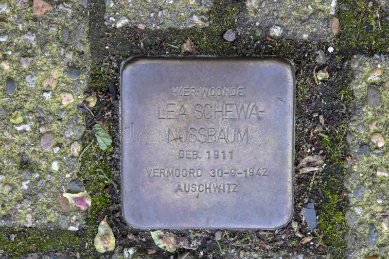 Stolperstein Memorial Stone from Lea Schewa-Nussbaum at Amsterdam the ...