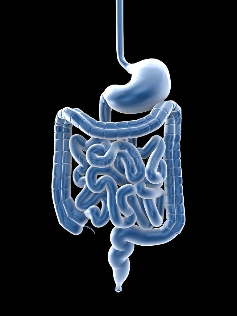 Blue Stomach Clip Art Stock Illustrations – 82 Blue Stomach Clip Art ...