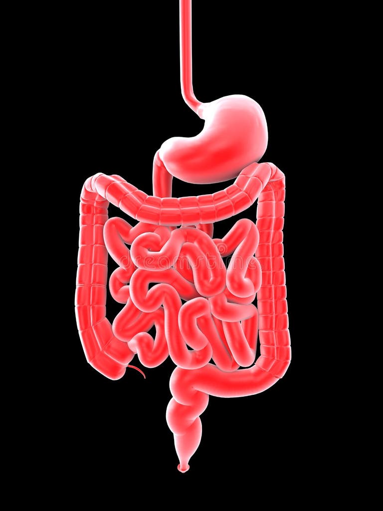 Blue Stomach Clip Art Stock Illustrations – 82 Blue Stomach Clip Art ...