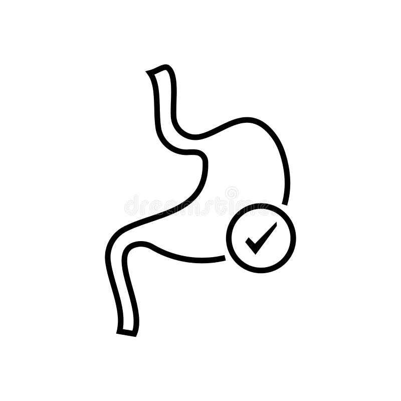 Stomach and Check Mark. Symbol of Good Digestion. Isolated Vector ...