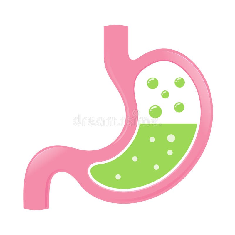 Stomach Icon with Acid and Bubbles Stock Vector - Illustration of human ...
