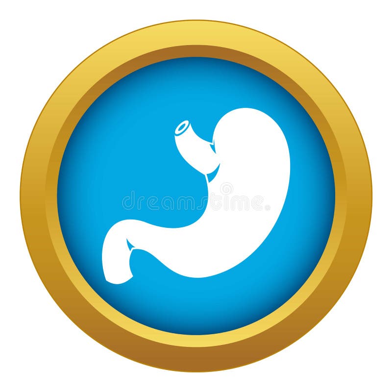 Stomach Vector Blue Stock Illustrations – 2,370 Stomach Vector Blue ...