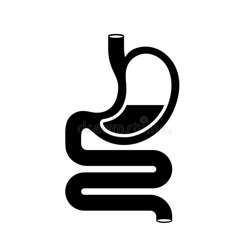 Stomach icon stock vector. Illustration of entrails - 139762216