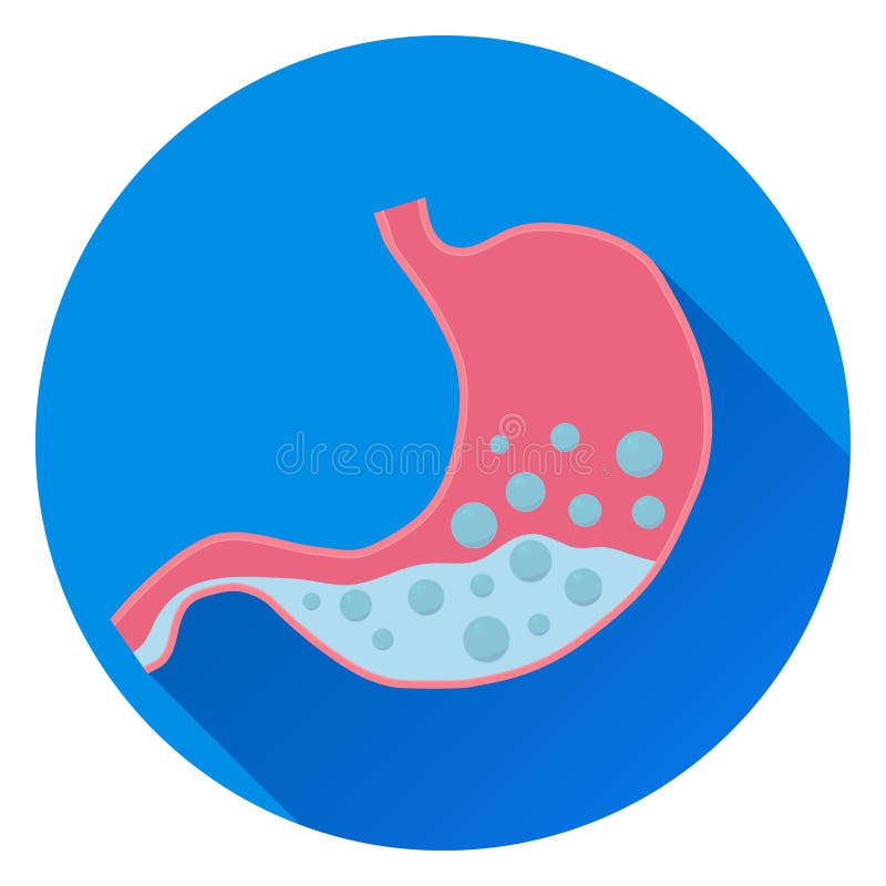 Stomach icon stock vector. Illustration of anatomy, clinic - 89183037