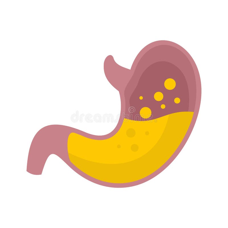 Stomach Icon Flat Isolated Vector Stock Vector - Illustration of ...
