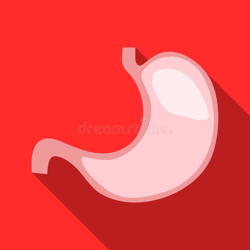 Stomach icon, flat style stock vector. Illustration of gaster - 82567942