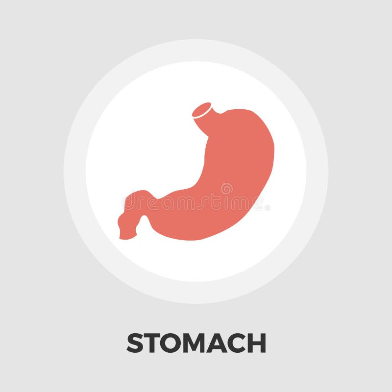 Stomach icon flat stock vector. Illustration of icon - 90679535
