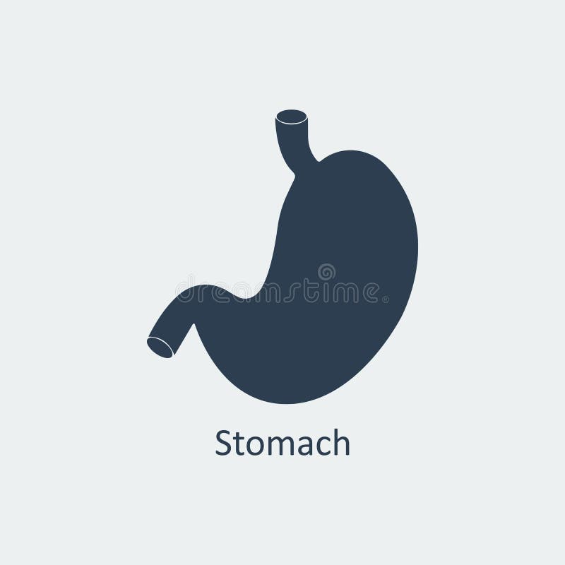 Stomach Icon.Vector Illustration Stock Vector - Illustration of ...