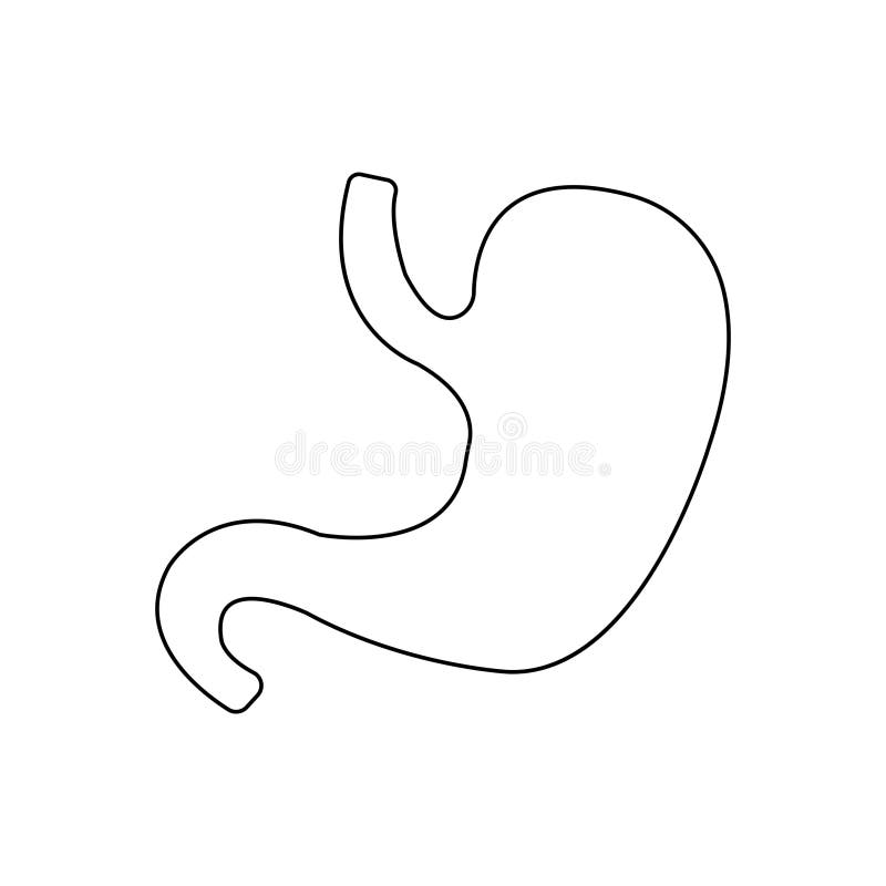 Stomach icon stock vector. Illustration of doctor, health - 311775317
