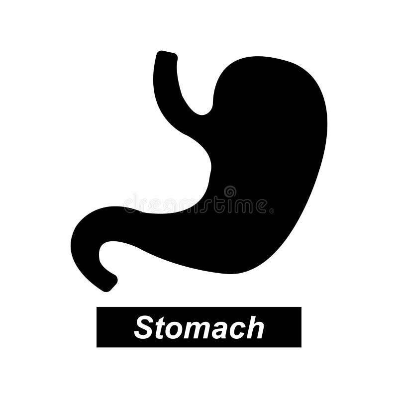 Stomach icon stock vector. Illustration of medic, vector - 311775319