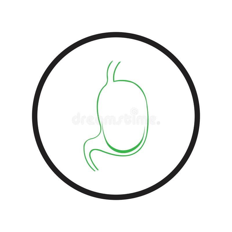 Stomach Icon Vector Illustration Template Stock Vector - Illustration ...