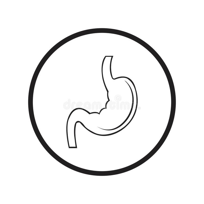 Stomach Icon Vector Illustration Template Stock Vector - Illustration ...