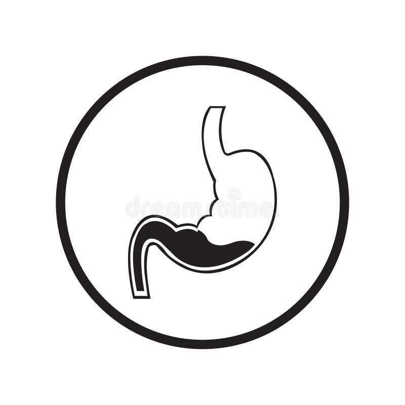 Stomach Icon Vector Illustration Template Stock Vector - Illustration ...