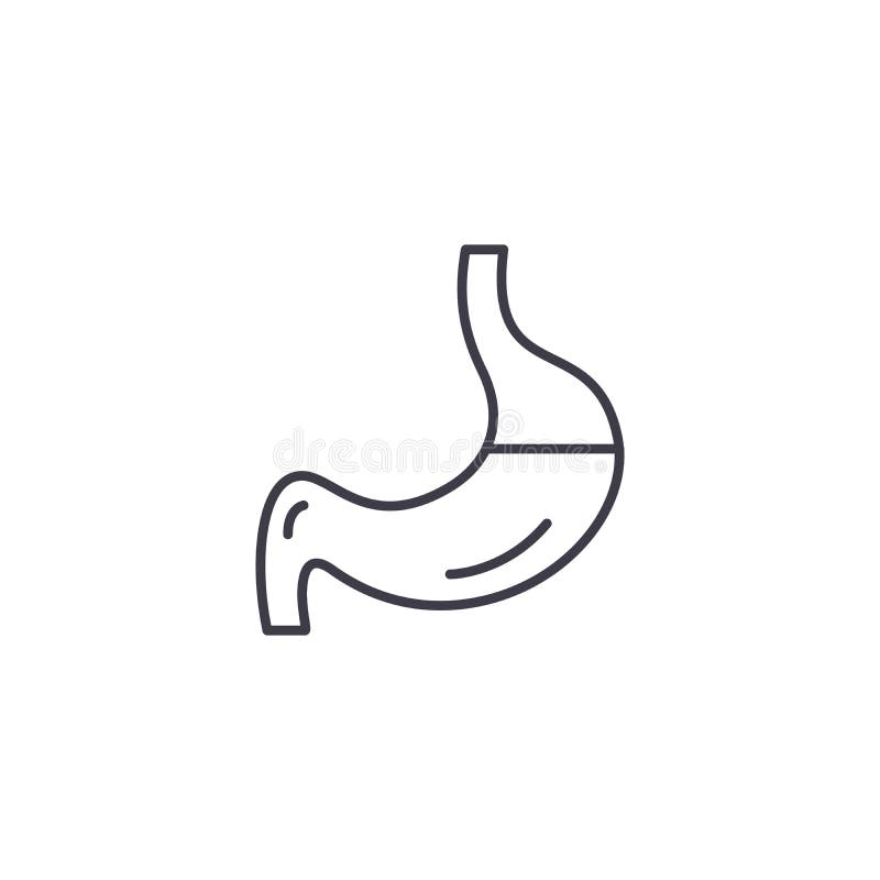 Stomach Linear Icon Concept. Stomach Line Vector Sign, Symbol ...