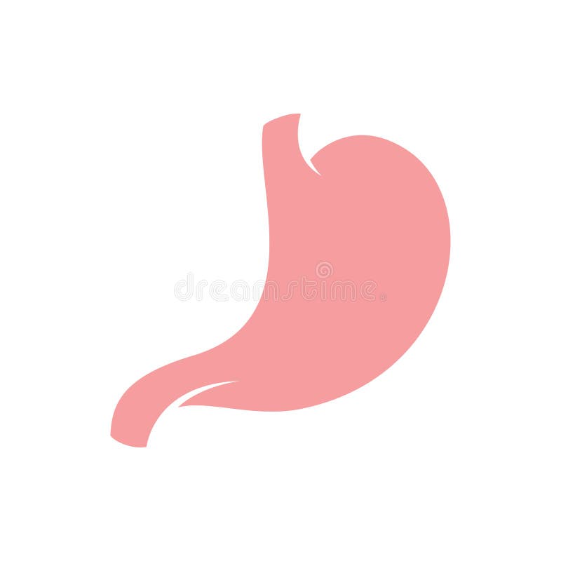 Stomach logo icon stock vector. Illustration of business - 265735672