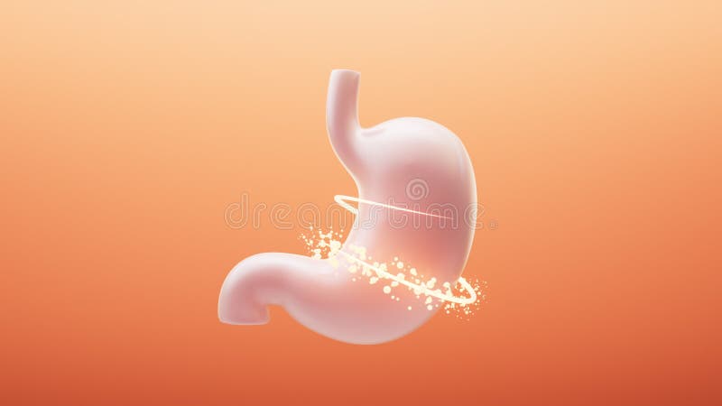 Stomach and Nutrient Absorption, 3d Rendering Stock Footage - Video of ...