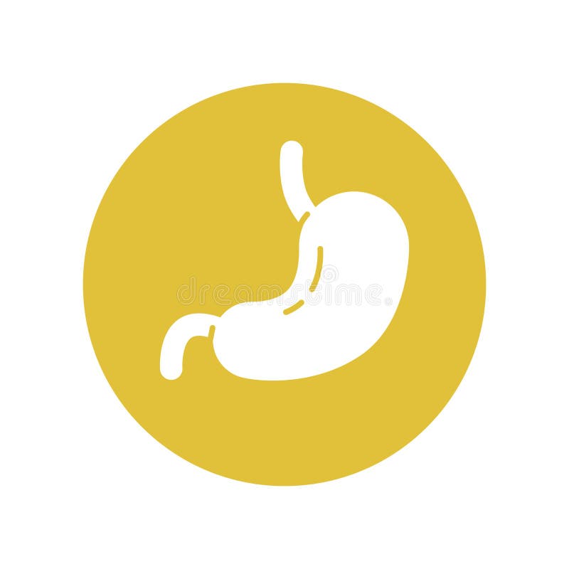 Stomach Vector Icon, Human Organ Illustration Design, Circle Shape Flat ...