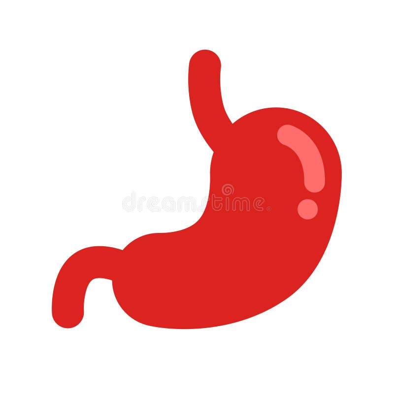 Stomach Vector Icon, Human Organ Illustration Design, Cute Flat Icon ...