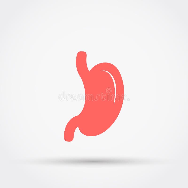 Stomach vector icon. stock vector. Illustration of biology - 102545923