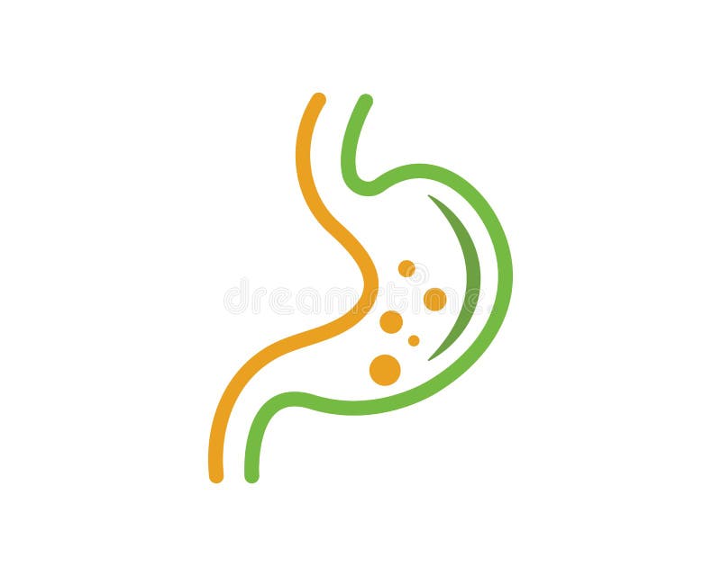 Stomach Vector Illustration Design Stock Vector - Illustration of ...